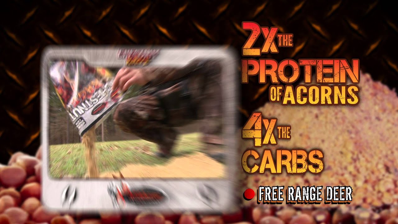 Buck Commander Chestnut Rage Commercial - YouTube