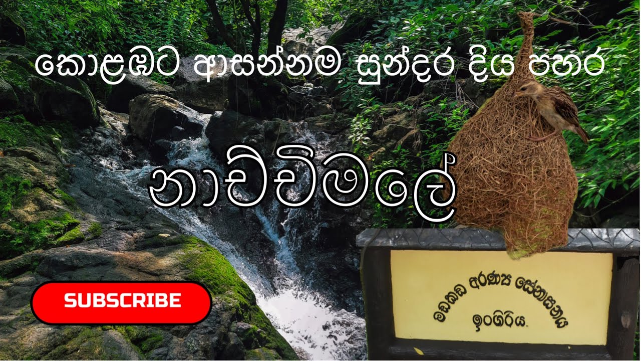 නාච්චිමලේ මඩකඩ ආරණ්‍යය| nachchimale stream | Madakada Aranya Senasanaya ...