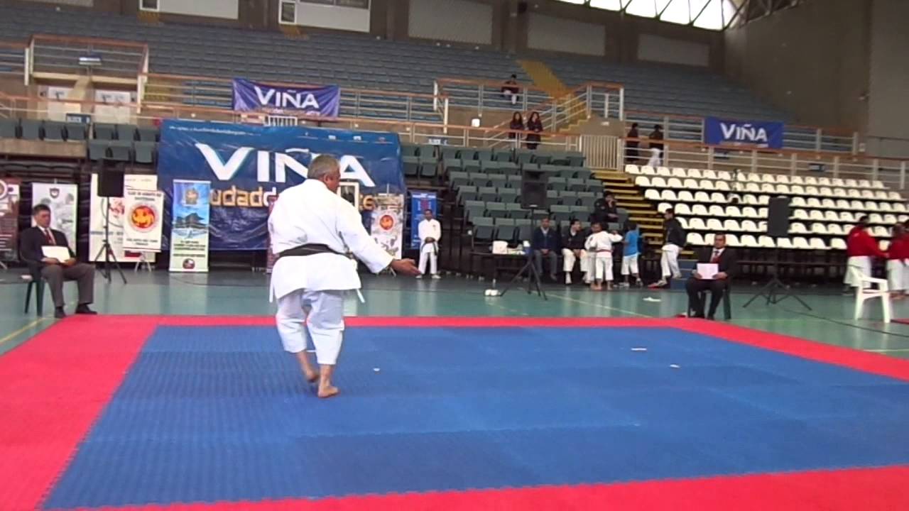 Julio Vargas Lobos kata individual Nacional SKIF 2012 - YouTube