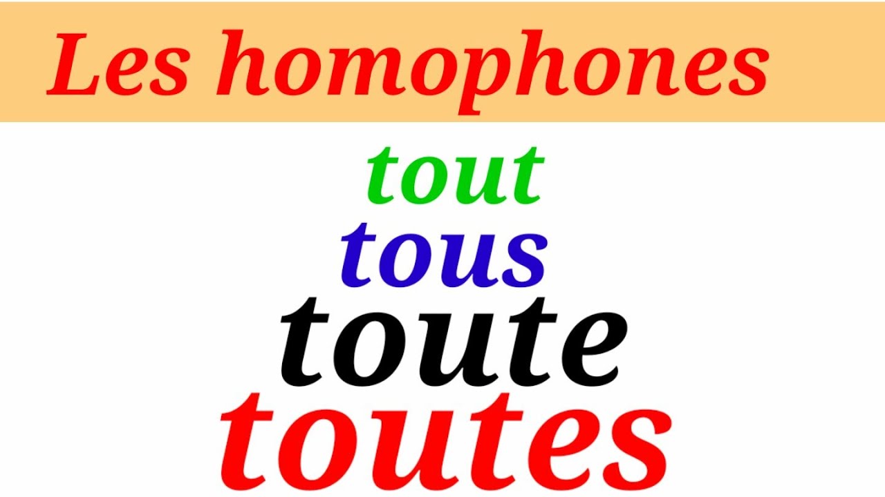tout tous toute toutes # règles et exemples - YouTube