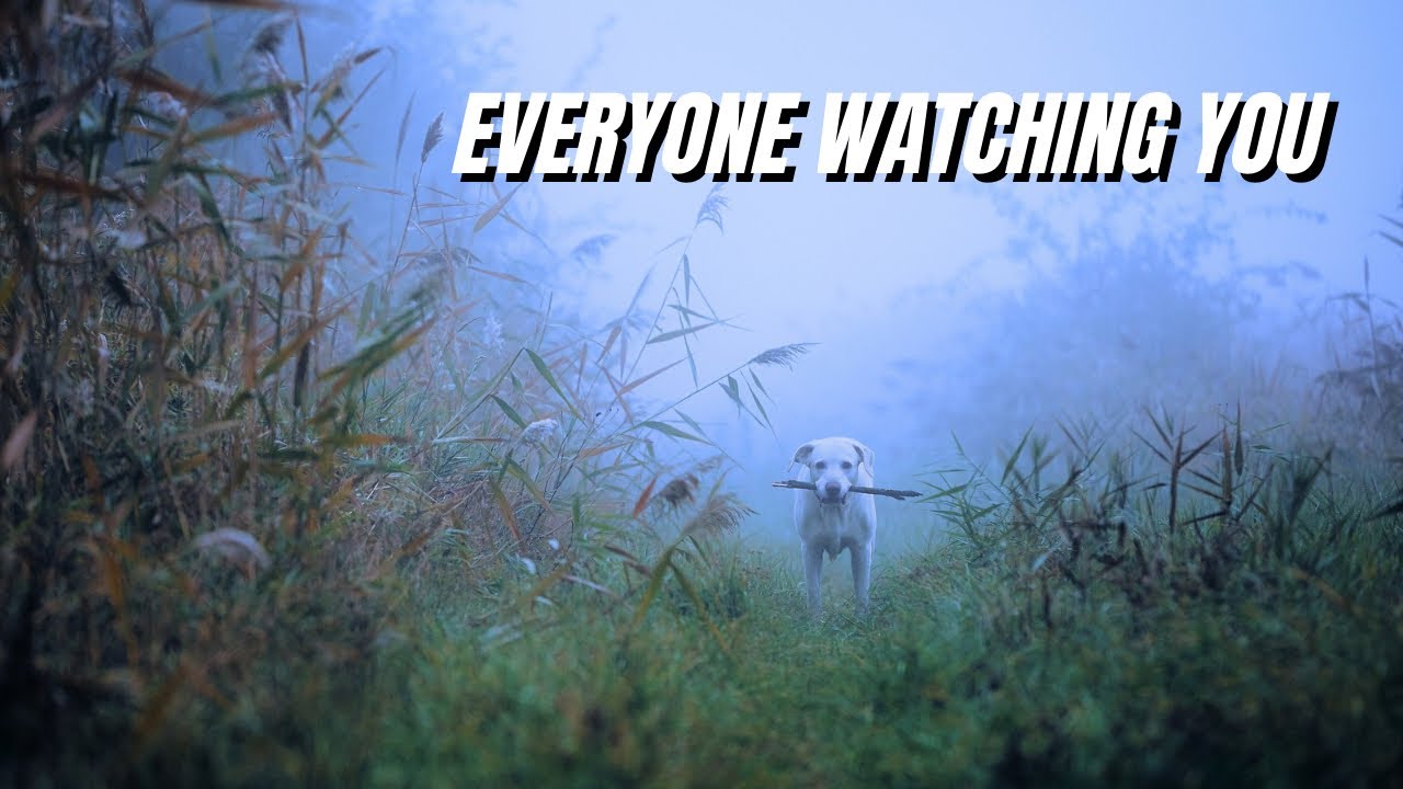 EVERYONE WATCHING YOU - Motivational Speech - YouTube