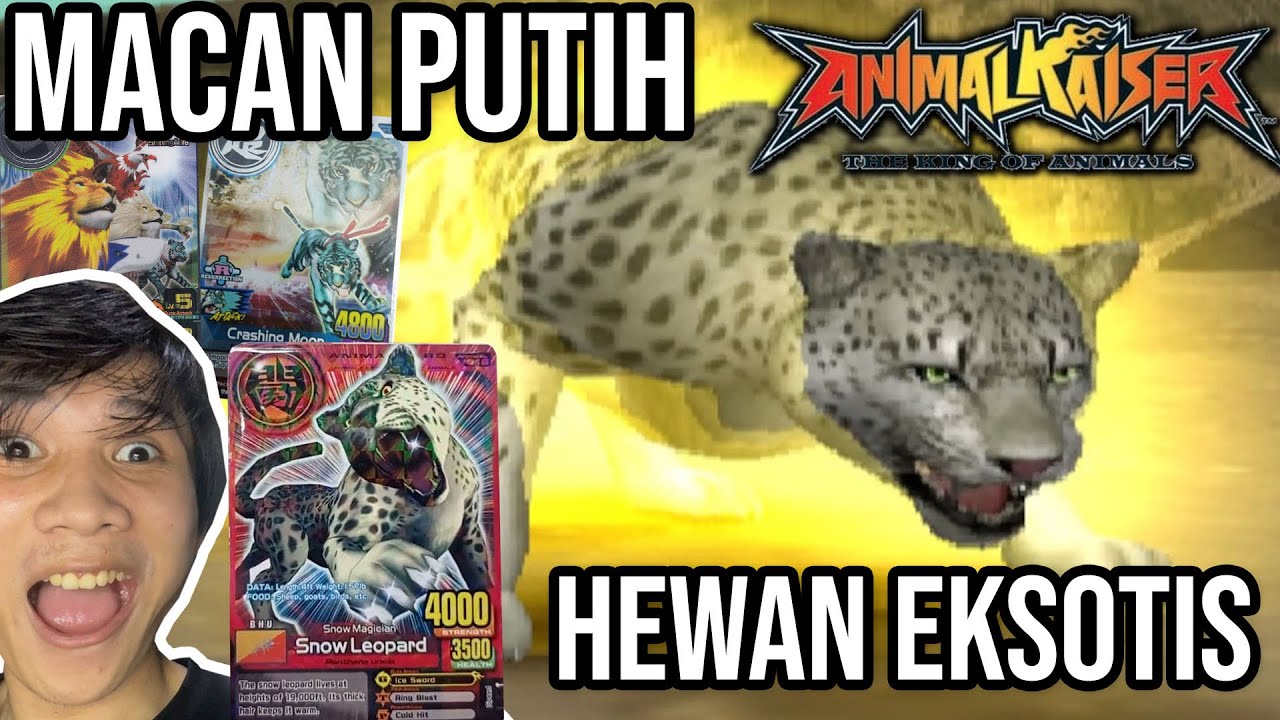 SNOW LEOPARD COMBO SHINING! ANIMAL KAISER PC EMULATOR INDONESIA #20 ...