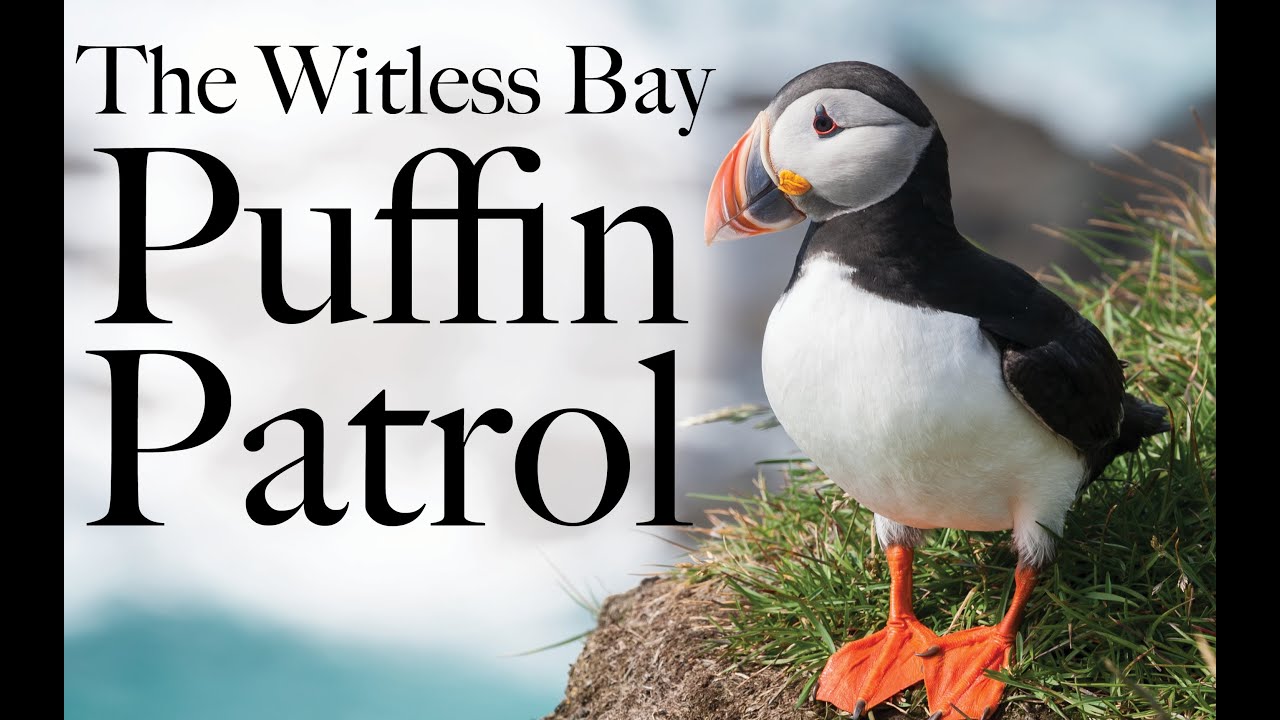 Witless Bay's Puffin & Petrel Patrol - A mini-documentary - YouTube