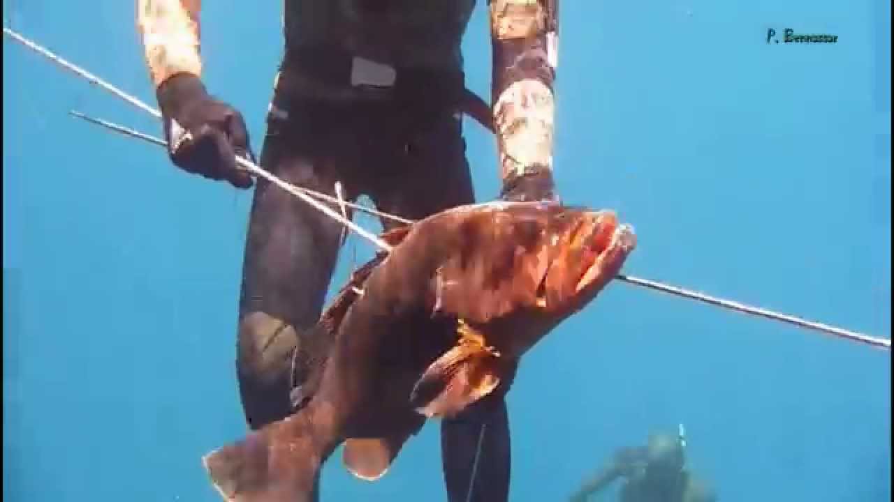 Pesca Submarina - Mero 7.1 Kg 06-06-2015 - YouTube