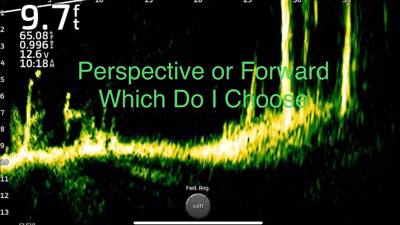 Garmin Livescope: How Do I Choose Between Forward or Perspective Mode ...