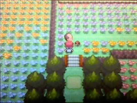 Pokemon Platinum Walkthrough Part 9:Floaroma Town and Team Galactic ...