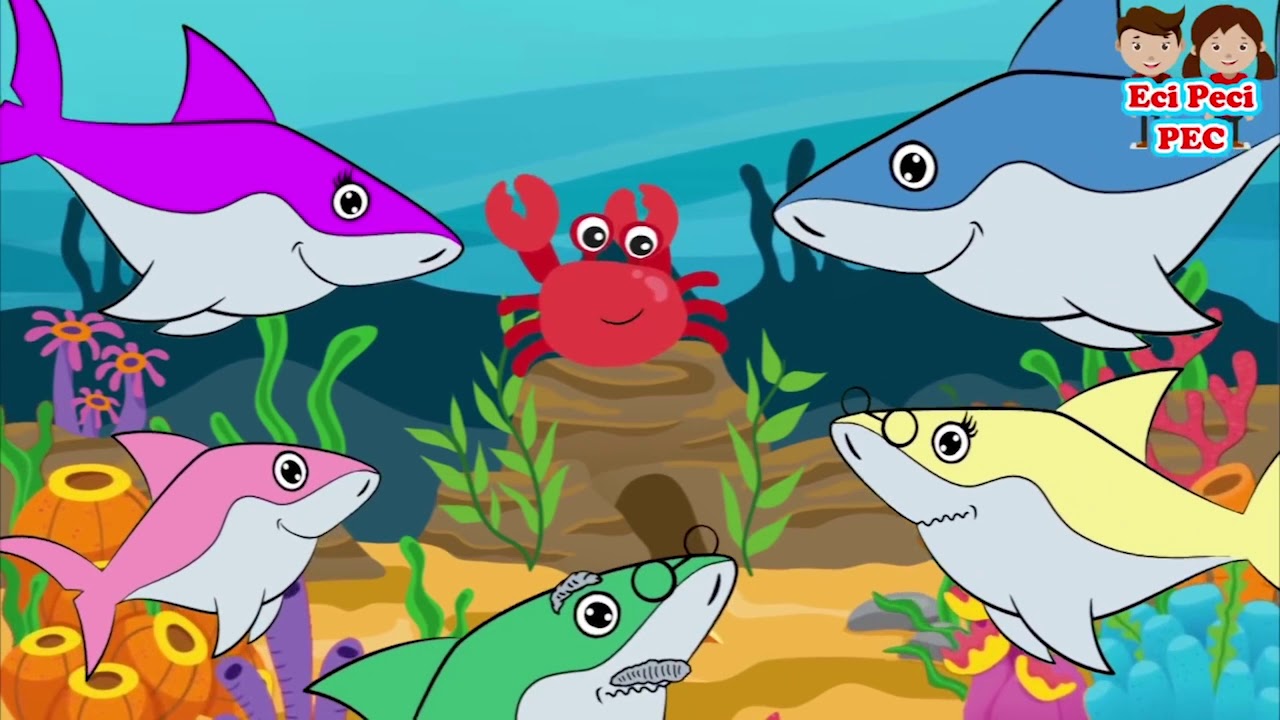 Beba ajkula 4 HOURS - YouTube