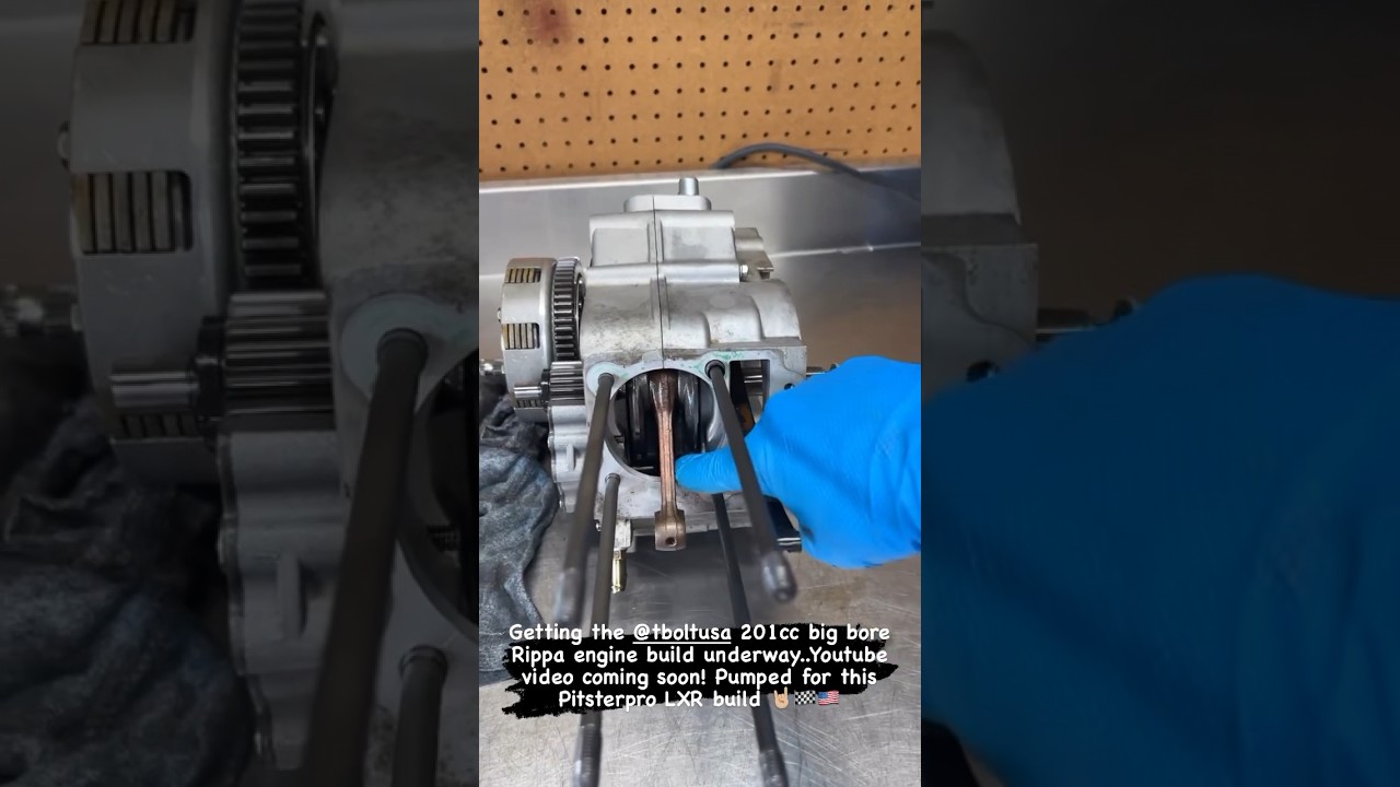 Daytona 190 Eater 😈 201cc YX Engine V2 Race Head Build #pitbike #racing ...