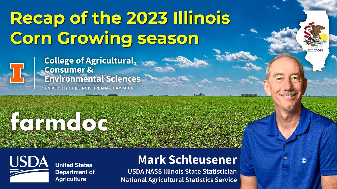 Overcoming Adversity: The 2023 Illinois Corn Crop - YouTube