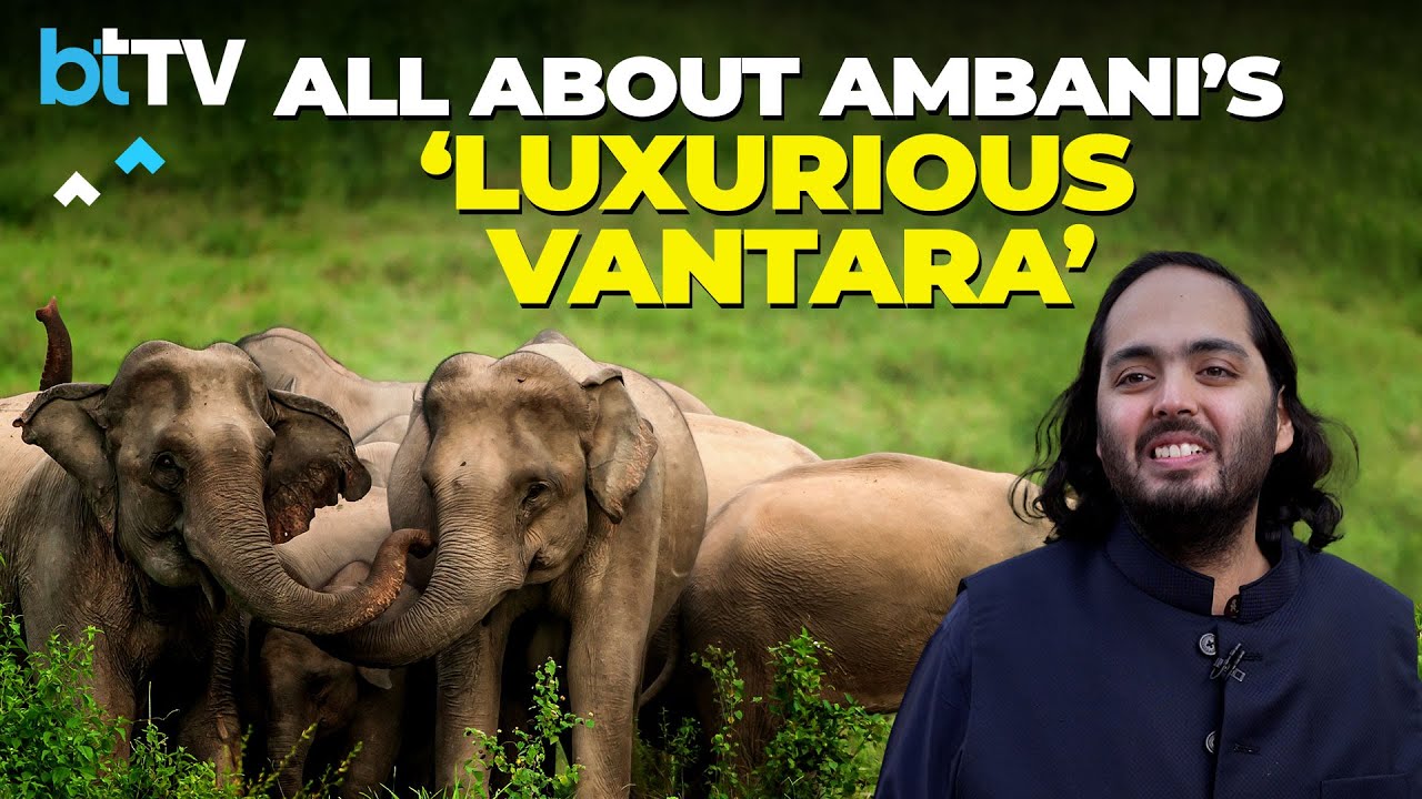 All You Need To Know About Anant Ambani’s Pet Project – The Vantara In ...