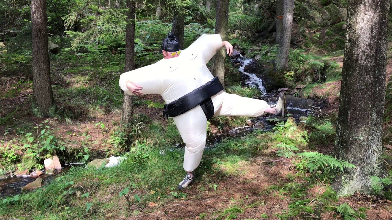 Organic Sumo Dancer - YouTube