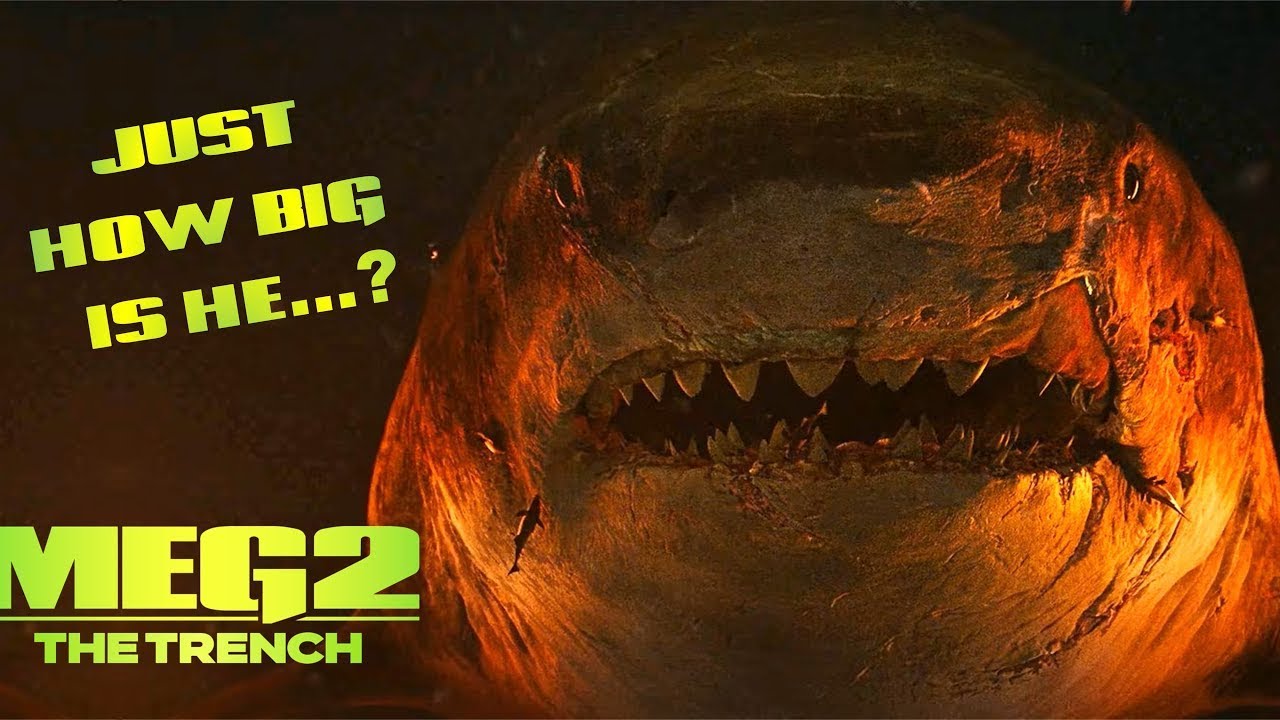 Meg 2 Trailer Breakdown: Most Absurd Moments, Animal Fights & Story ...