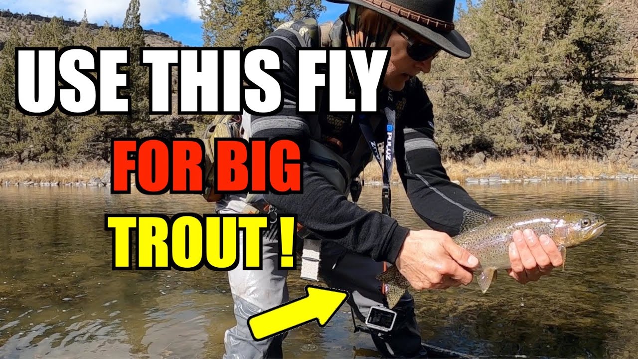 Crooked River Fly Fishing Trout- Tutorial on "The Fly" for Big Rainbow ...