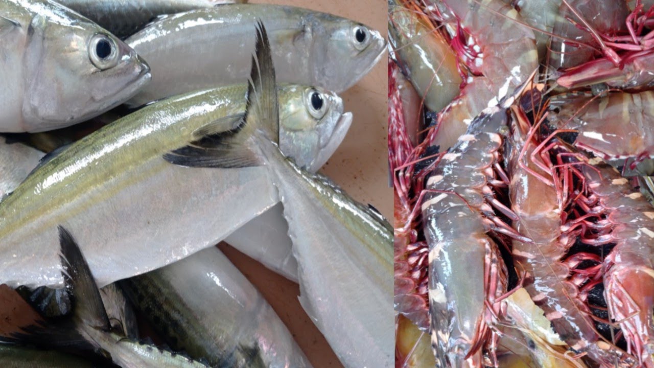 BULONGAN FISH PORT TANZA CAVITE BAGSAK PRESYO GITGITAN NA MAMIMILI# ...