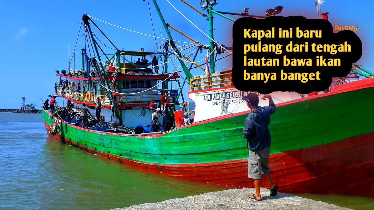 Proses bongkar muat ikan dari kapal - YouTube