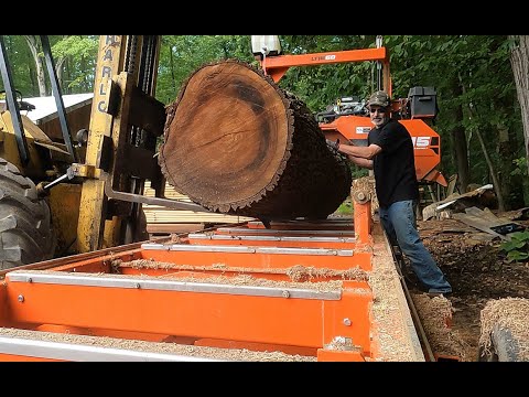 Weird Walnut log on the sawmill - YouTube