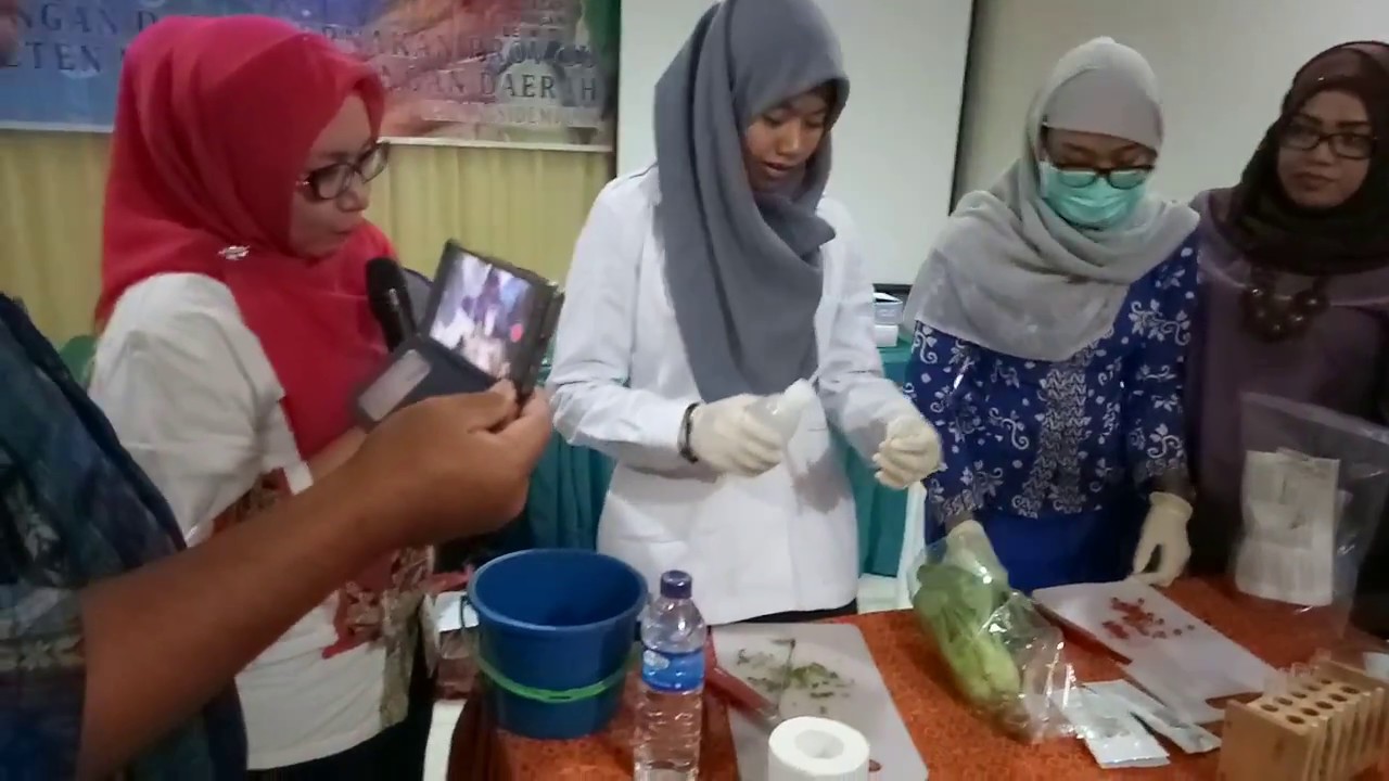 99% SEHAT | Hasil Uji Lab Sayuran Hidroponik oleh PT. MUTU AGUNG ...