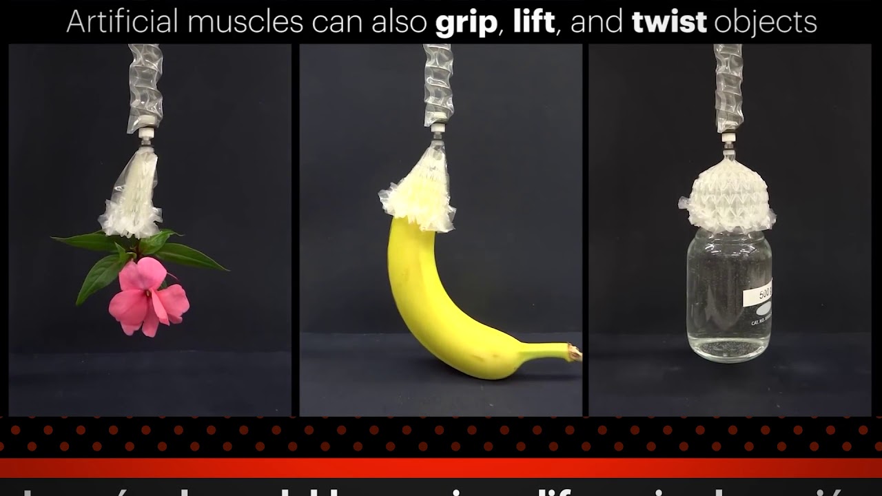 ORIGAMI MUSCLE - YouTube