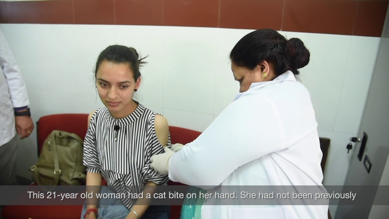 Medi-Vision Films 61 - Cost-effective rabies prevention - The Himachal ...