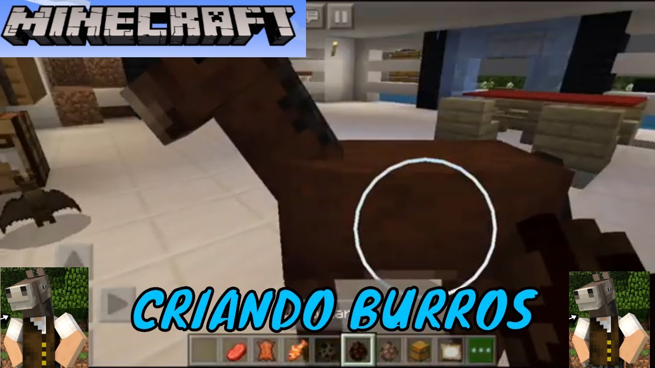 MINECRAFT #3 CRIANDO BURROS - YouTube