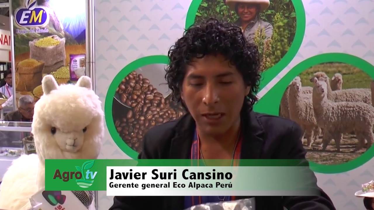 AgroTV - 165: Charqui de Alpaca - YouTube