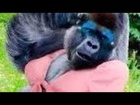 We tag teaming now - YouTube