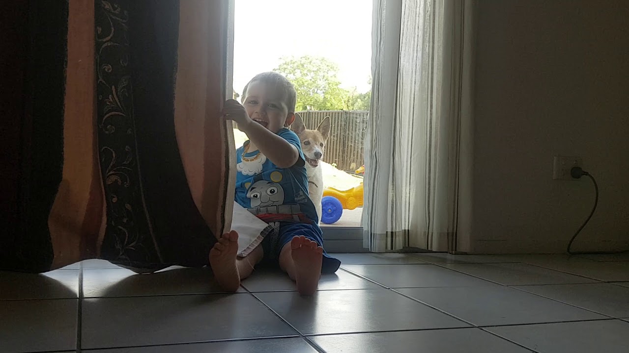 Peekaboo with peekapoo - YouTube
