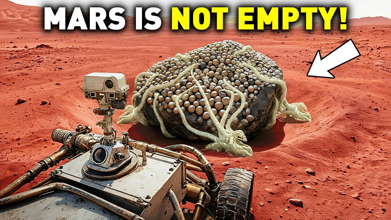 NASA SHOCKED! The Mars Rover Sent Back A SCARY Image Before Shutting ...