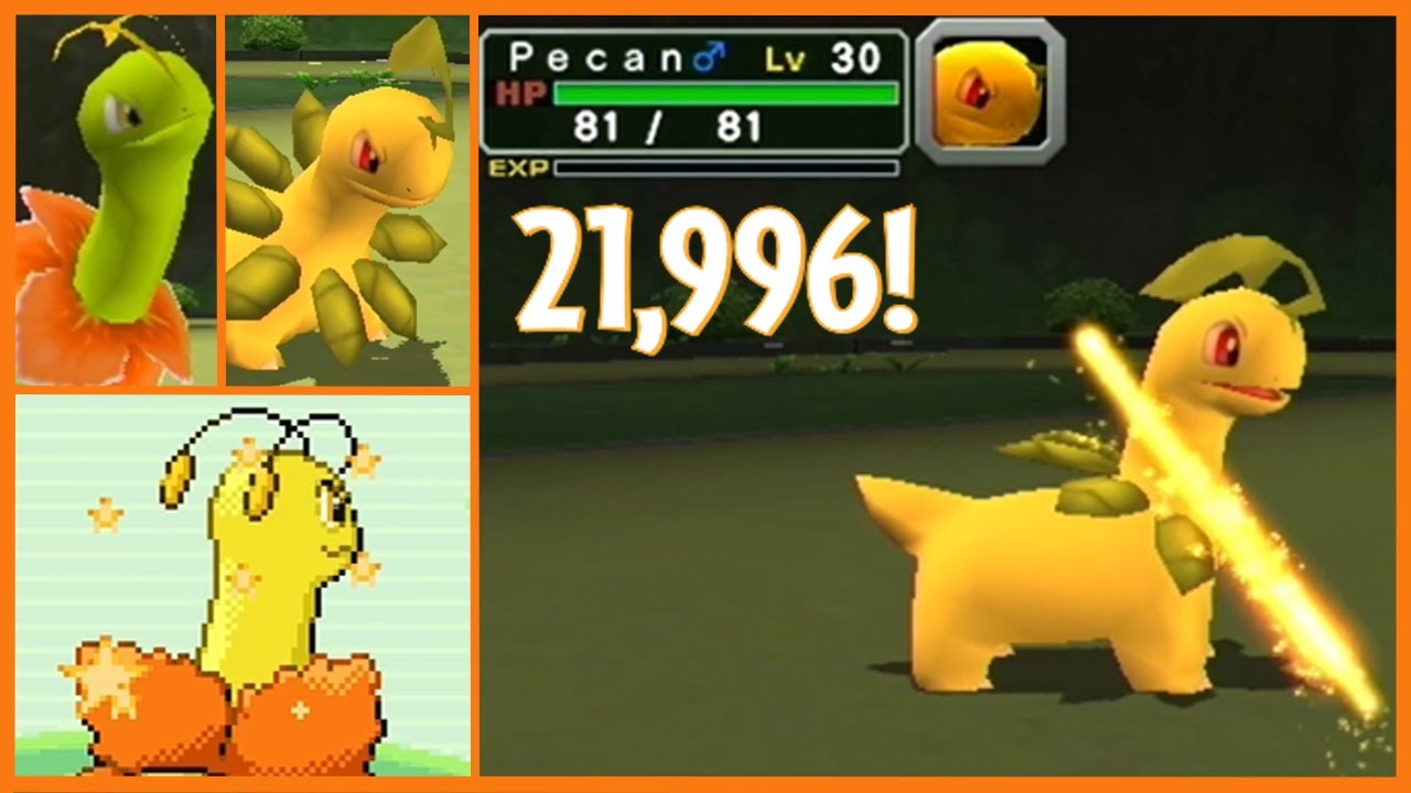 My second Shiny Shadow Bayleef in Pokemon Colosseum after 21,996 SRs ...