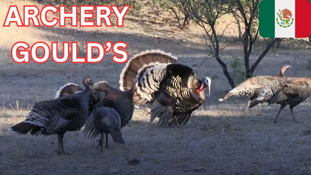 GOULDS TURKEY HUNTING-ARCHER CASEY BROOKS and CHAMPION TURKEY CALLER ...