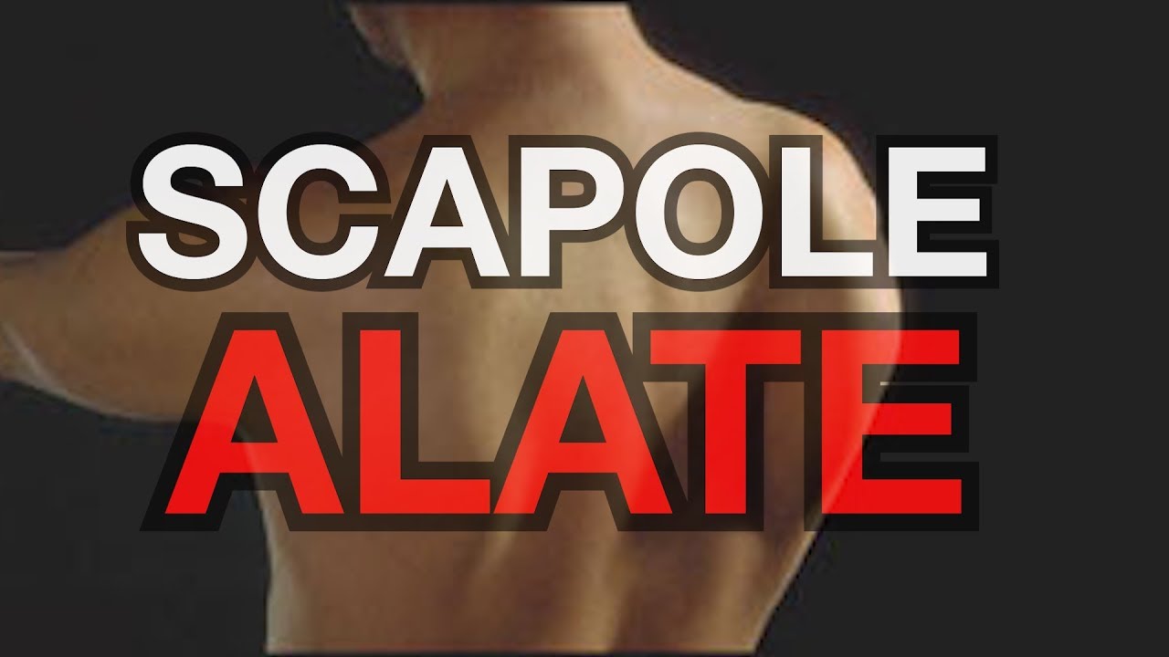 SCAPOLE ALATE: COME MIGLIORARLE? - YouTube
