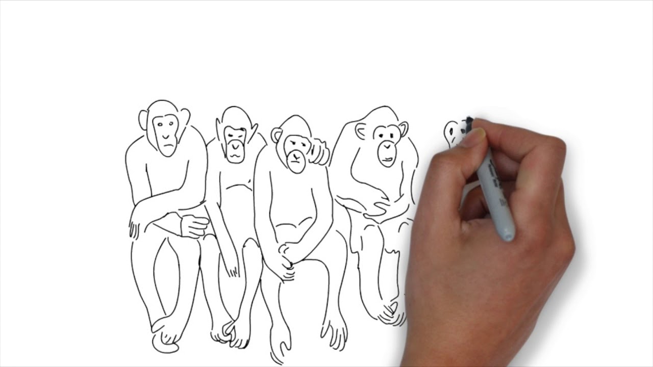 5 monkeys social experiment applicable to you - YouTube