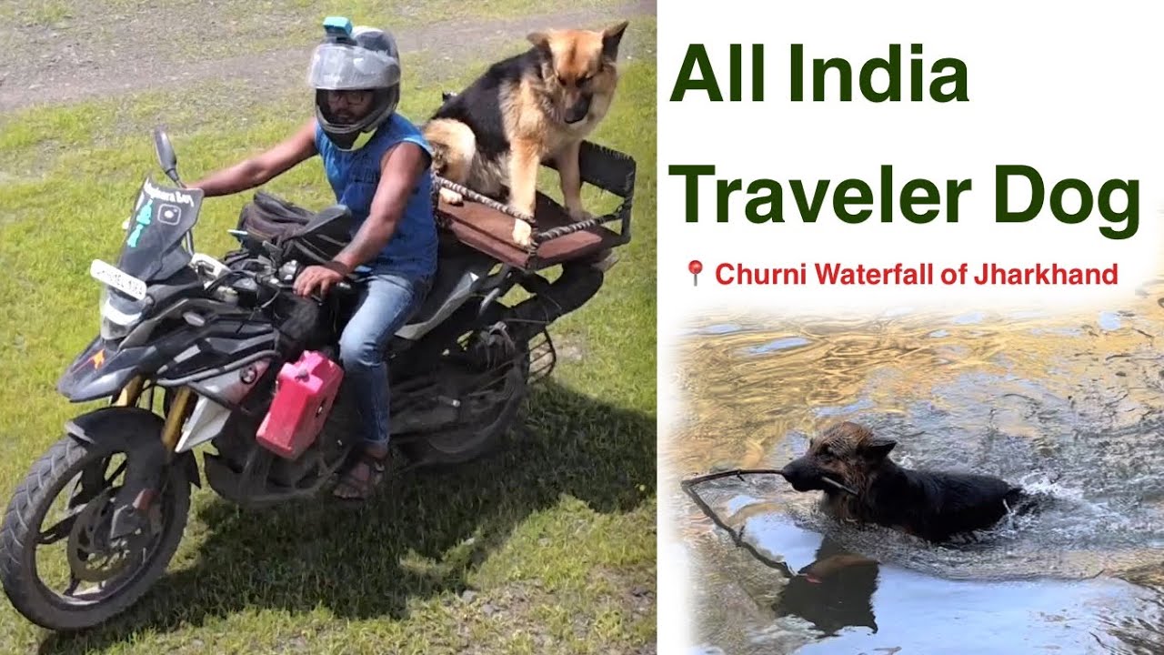 Travelling with pet German Shepherd | Churni waterfall of Jharkhand ...