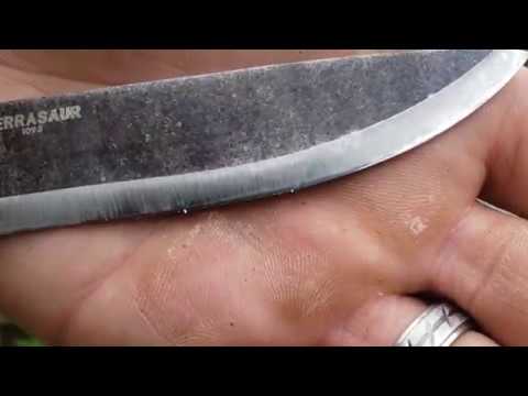 CONDOR TERRASAUR KNIFE AN NEWLY DESIGNED SHEATH - YouTube