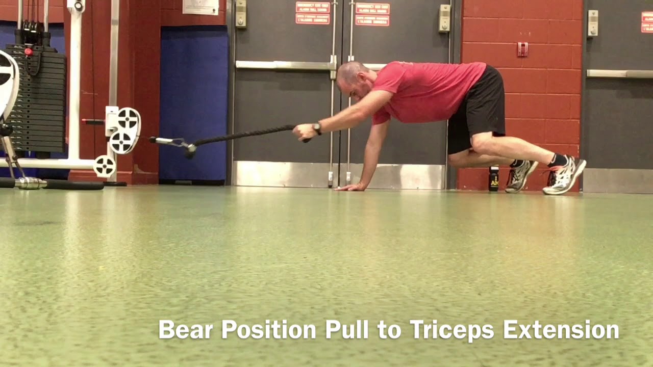 Bear Position Pull to Triceps Extensions - YouTube