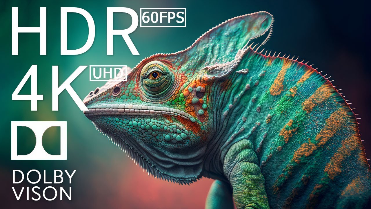 4K HDR 120fps Dolby Vision with Animal Sounds (Colorfully Dynamic) #76 ...