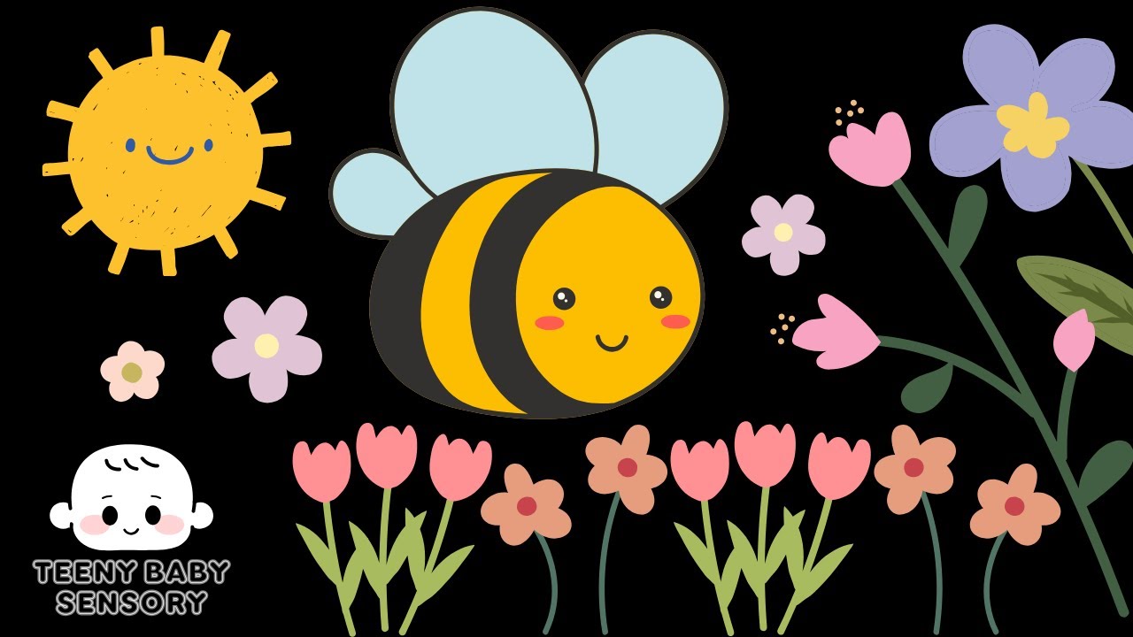Buzz Buzz Bumble Bees | High Contrast Baby Sensory Video - YouTube