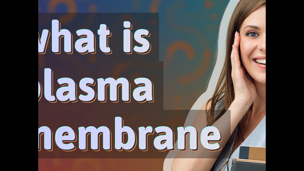 Plasma Membrane Meaning Of Plasma Membrane YouTube plasma-membrane-meaning-of-plasma-membrane-youtube