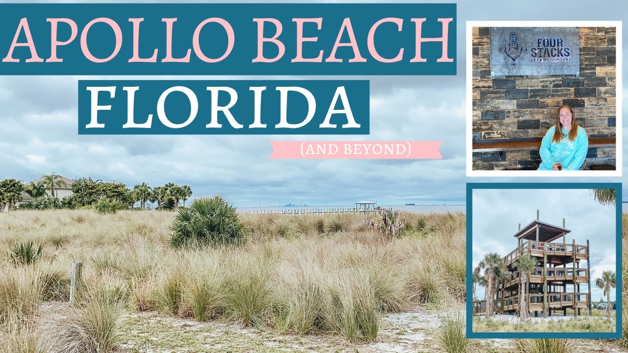 Things to do in Apollo Beach, Florida // Day Trips from Tampa ...