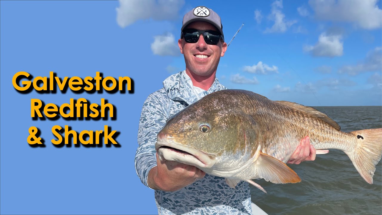 Fishing Galveston | Redfish and Shark in the Texas Gulf - YouTube