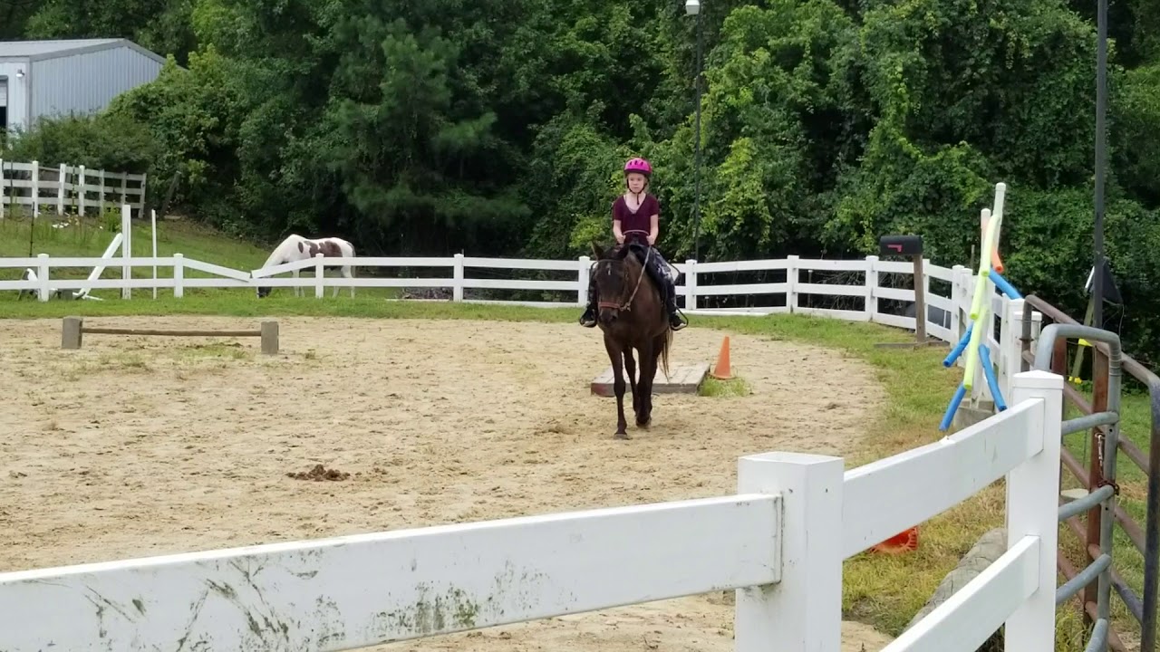 Madison's first horse lesson/ride - YouTube