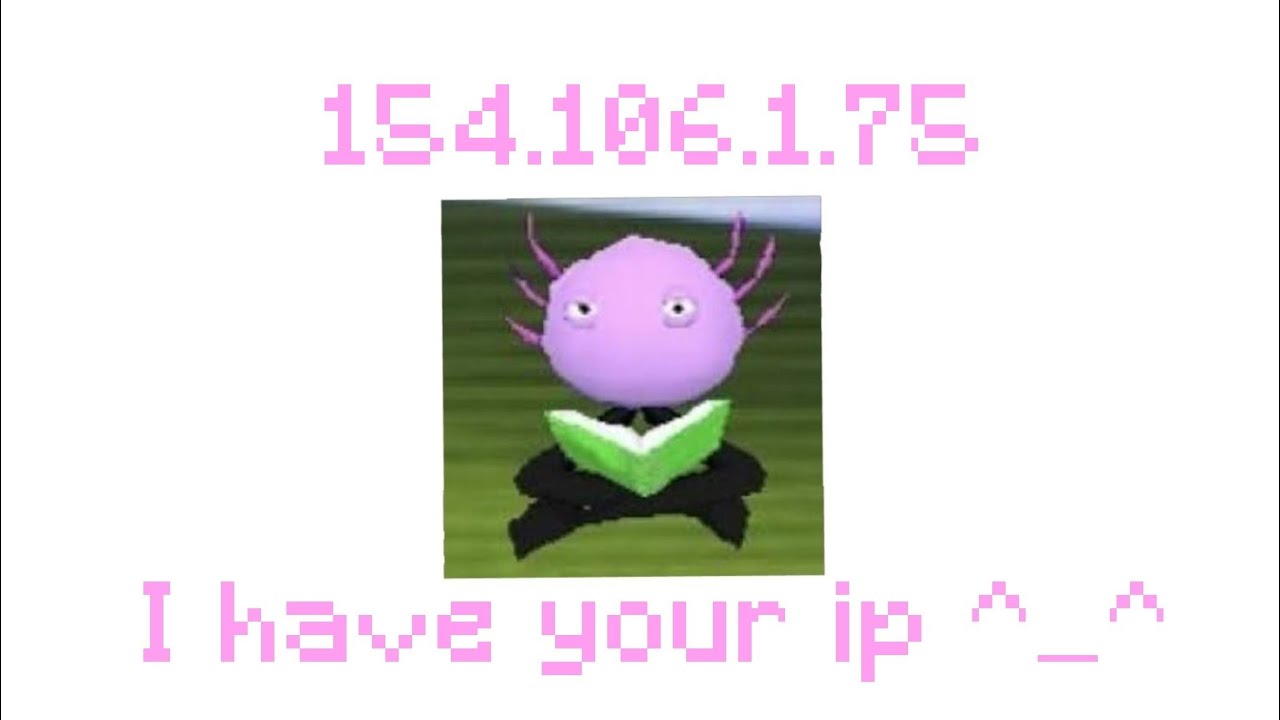 I have your ip your | kinitopet meme - YouTube