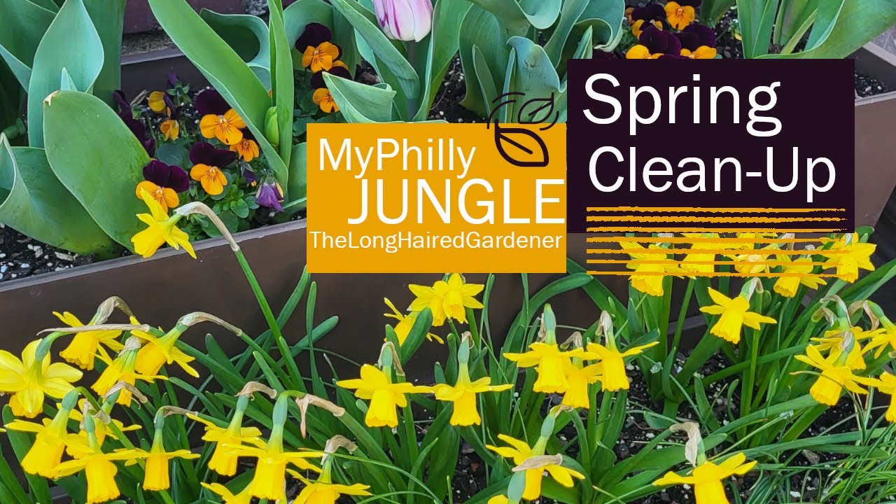 Spring clean-up | My Philly Jungle - YouTube