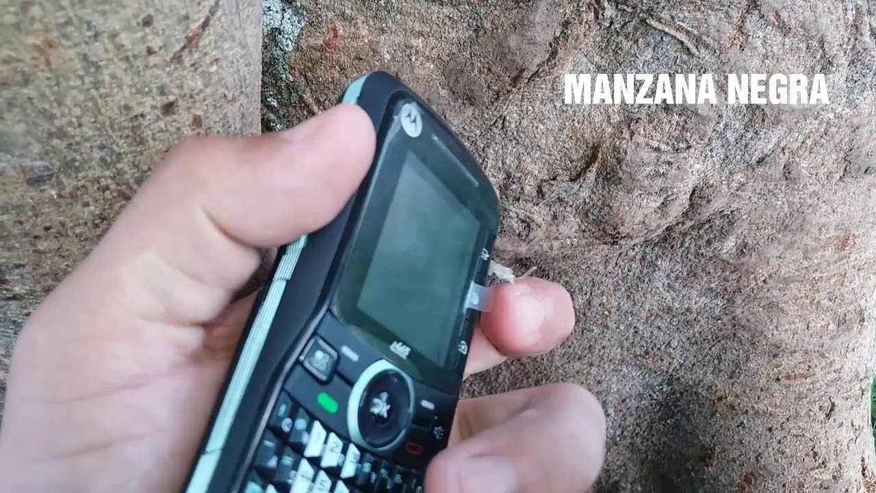 celular avantel 465 - YouTube