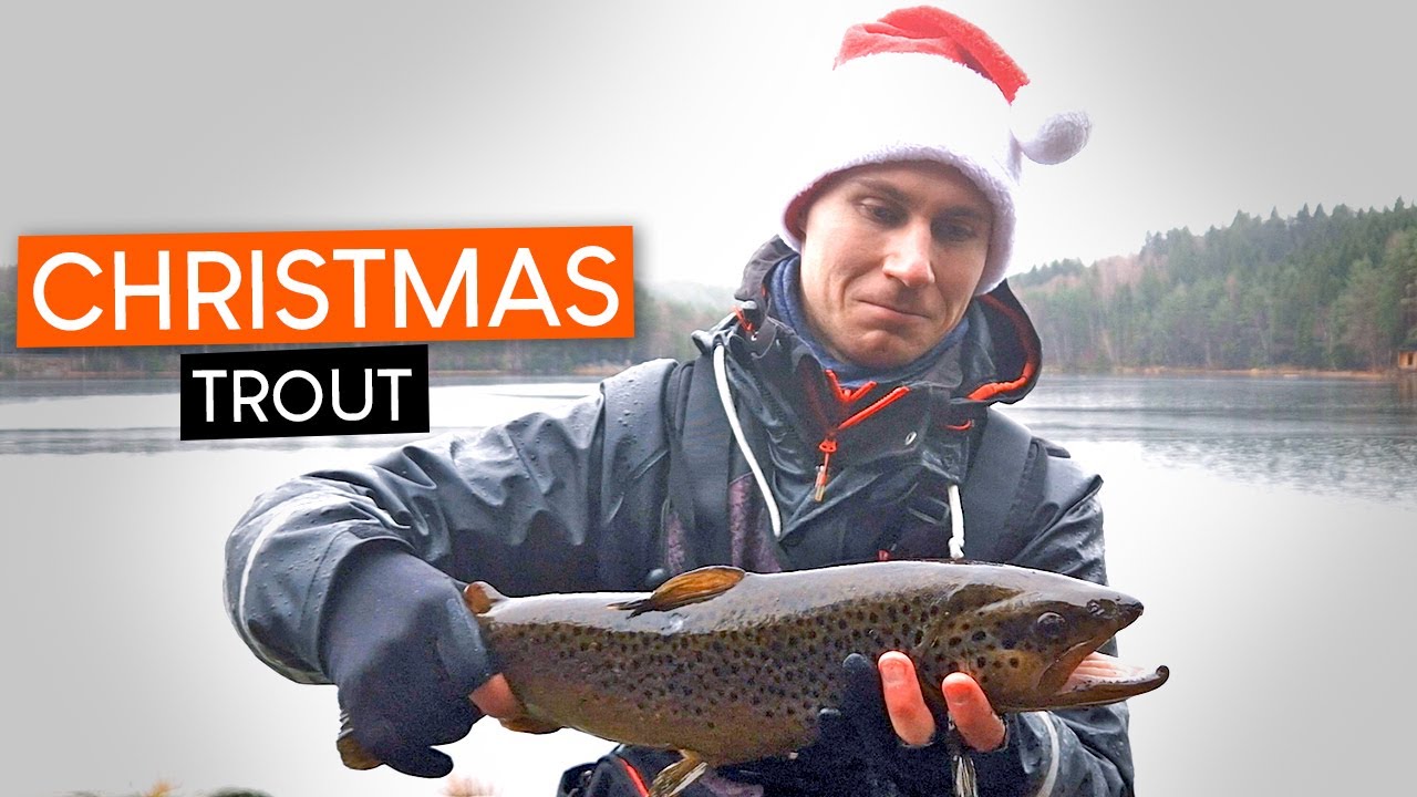 Trout fishing during CHRISTMAS holidays - YouTube