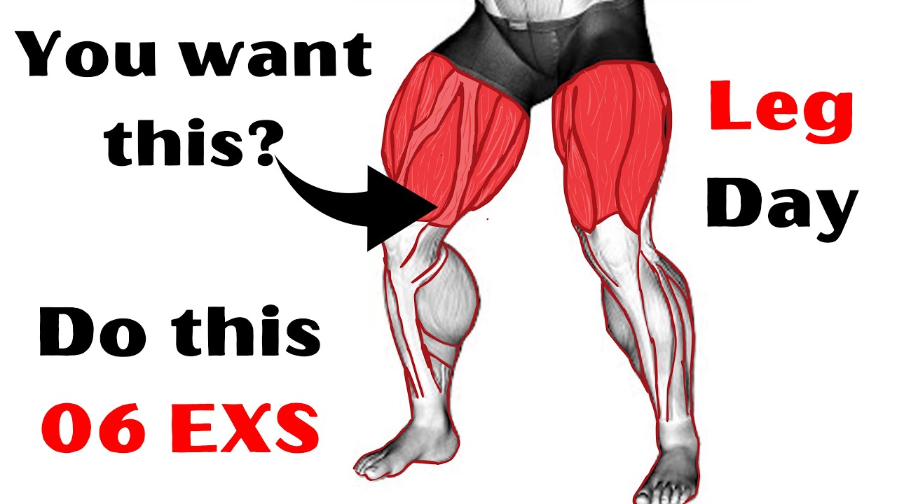 "Leg Day Legends: Top 06 Exercises for Sculpted, Powerful Legs!" - YouTube