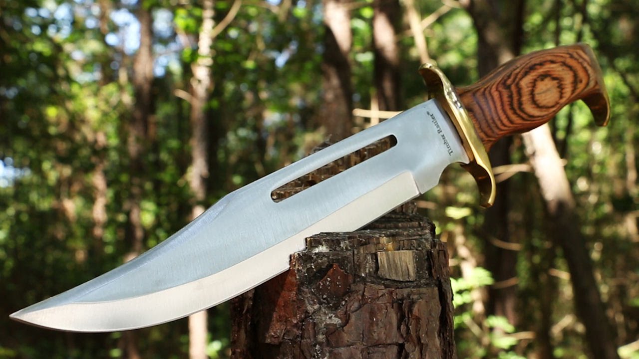 Timber Rattler Jungle Fury Bowie - YouTube