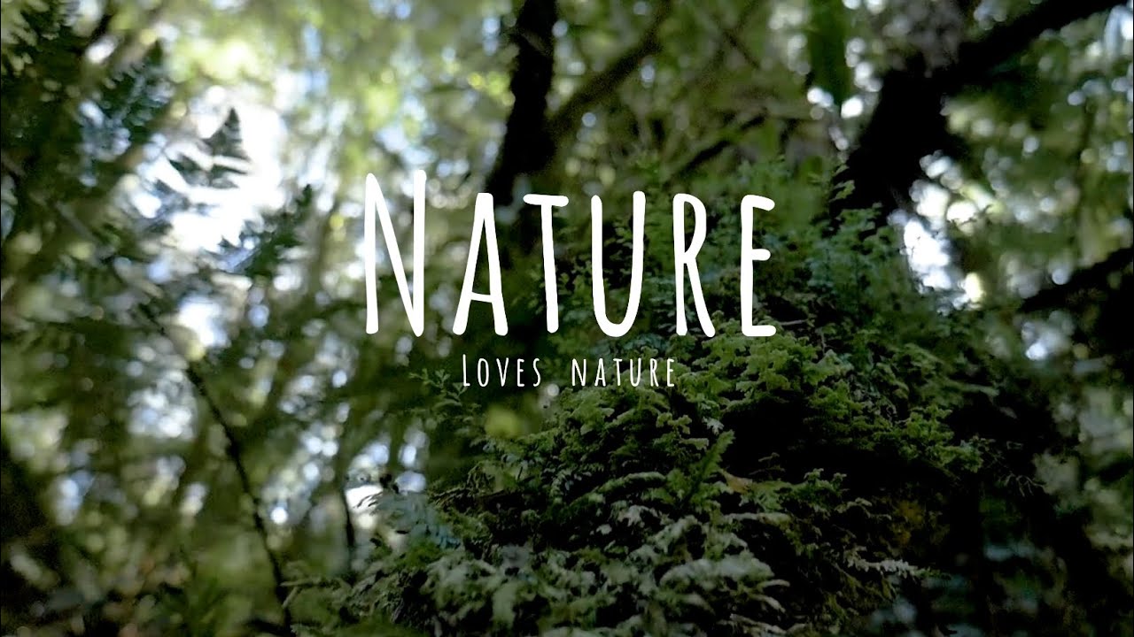 Subscribe to my channel and join the channel to watch more wonderful ...