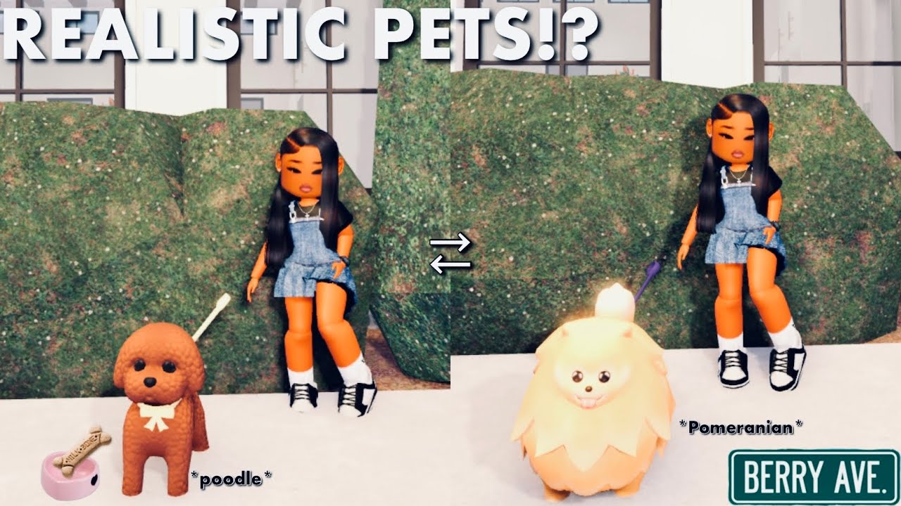 *NEW* HOW TO GET PETS IN BERRY AVENUE!?| Roblox Berry Avenue Roleplay ...