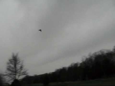 BRUSHLESS ZAGI X HIGH SPEED RC FLYING WING - YouTube
